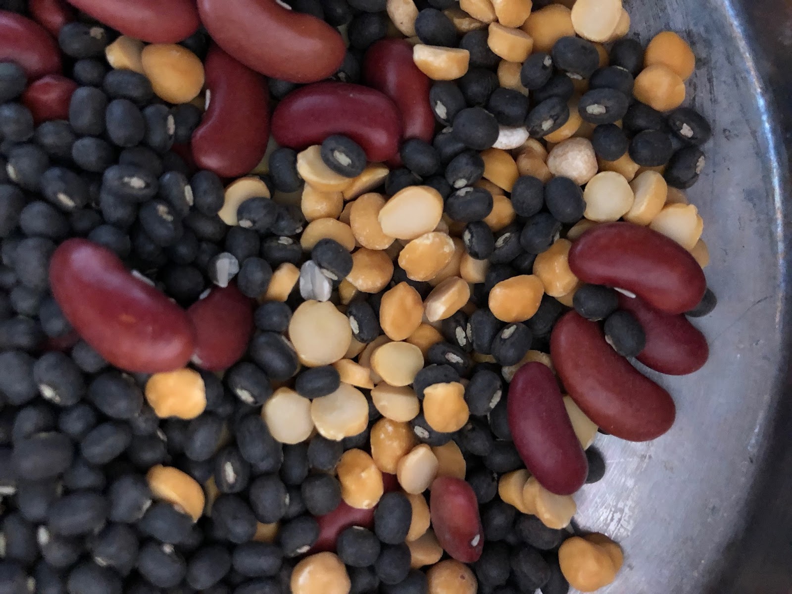 Home on my Range: Dal Dhungar