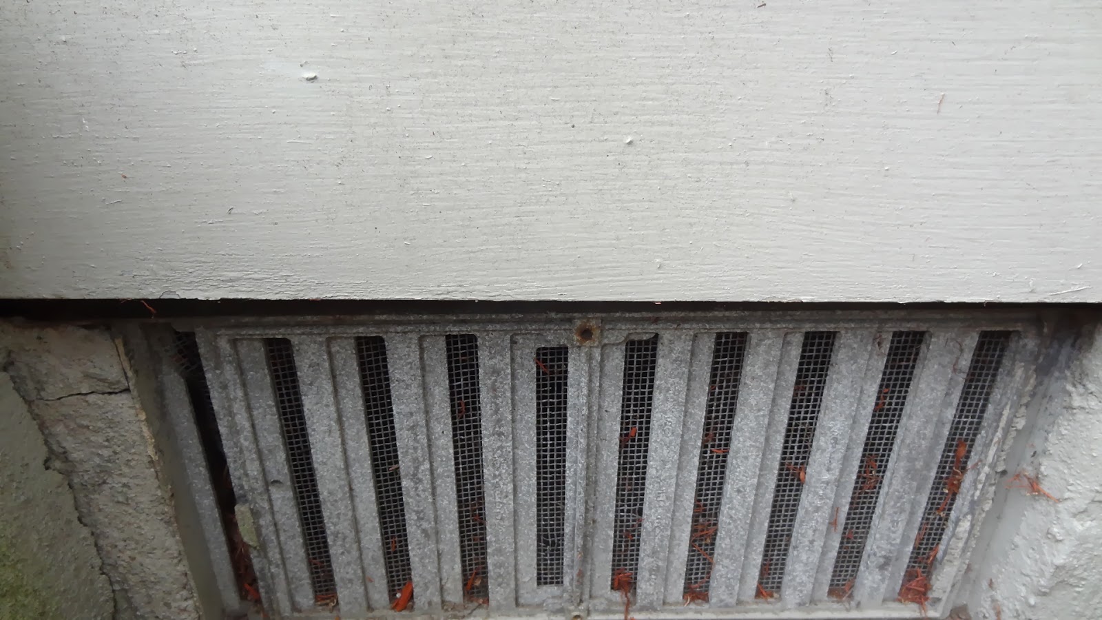 Rodent Exclusion and Rodent Rub Marks - GreenHow Pest and Termite ...