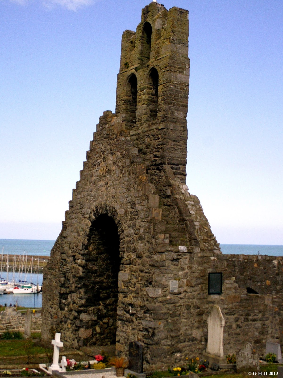 Ireland In Ruins: St. Mary's Abbey Co Dublin