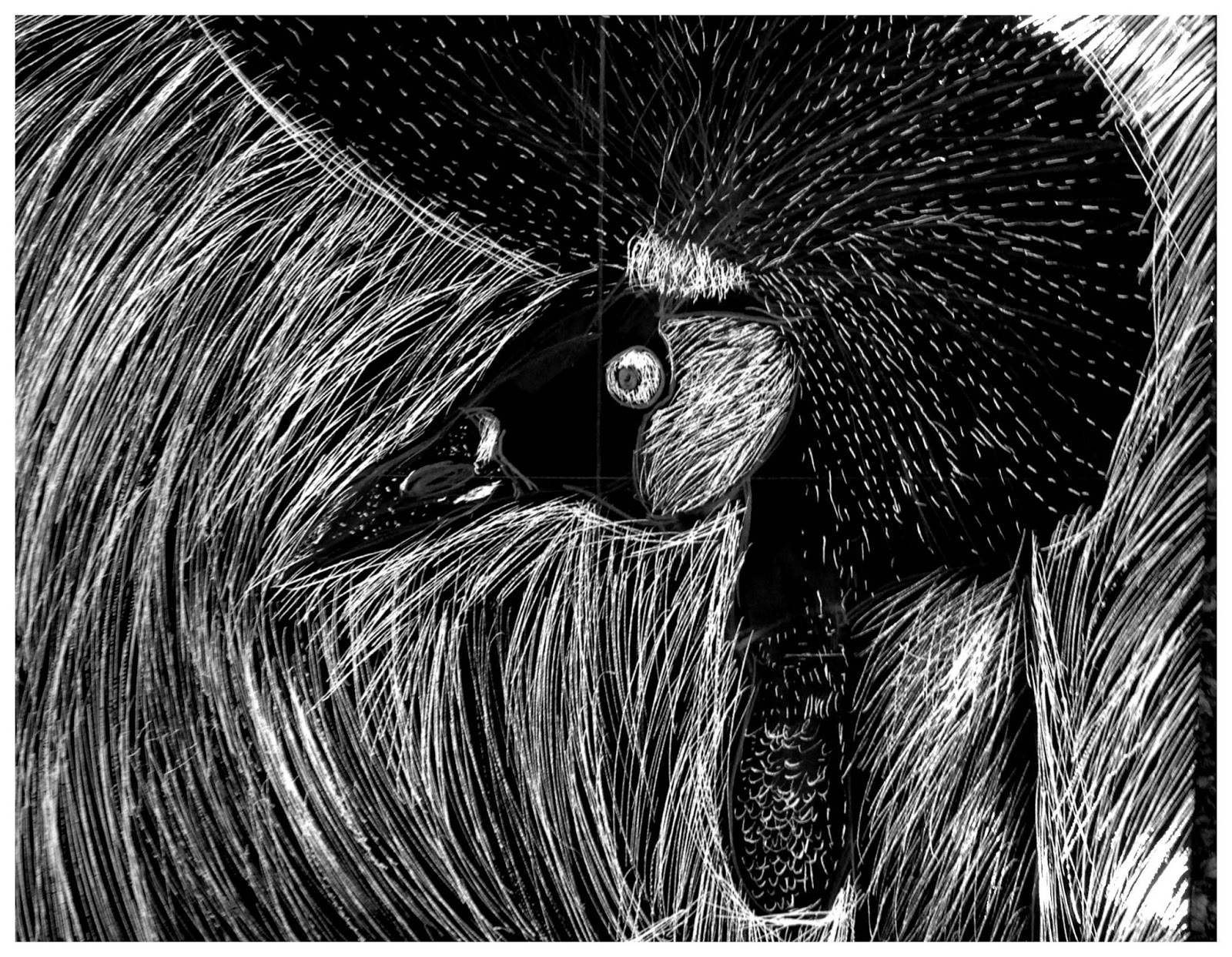 Open Window School Art: 5th Grade Animal Etchings