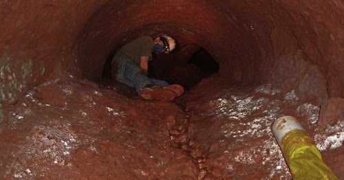 Creation - The Written Truth: #PALEOBURROW #PALEO TUNNEL #CREATION ...