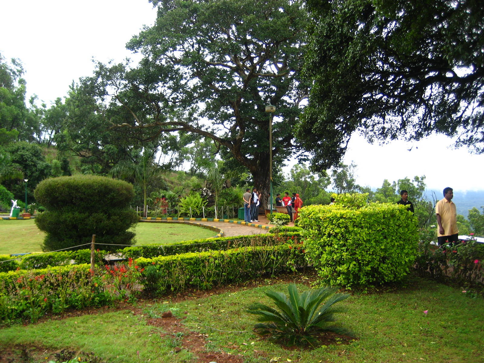 South India Tour Attractions: Coorg Tourism: Fascinating beauty of ...