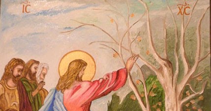 El Evangelio Comentado: La higuera seca (Lc 13, 1-9)