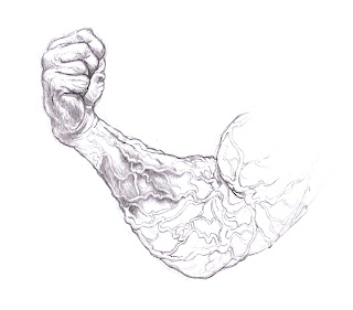 Magellin . Blog: Arm veins sketch