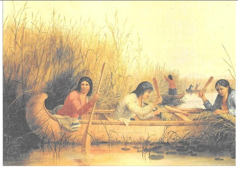 Fort St. Joseph Archaeological Project: Resources of the St. Joseph River