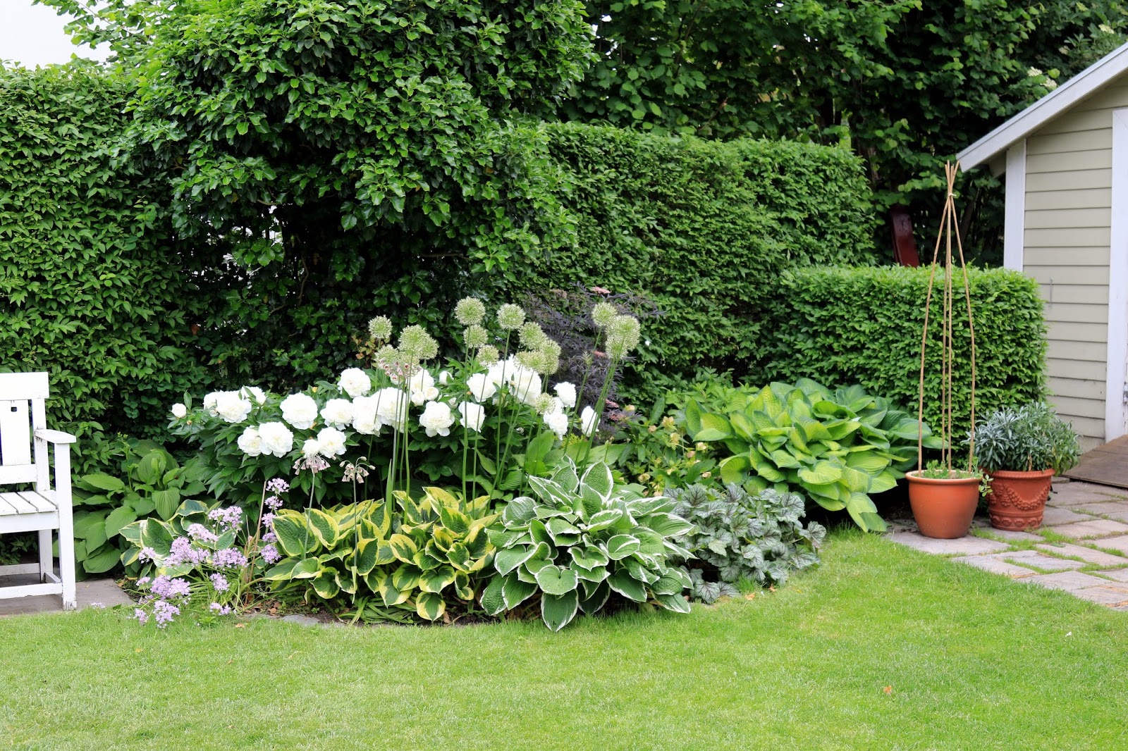 Trädgårdstid: Den vita rabatten