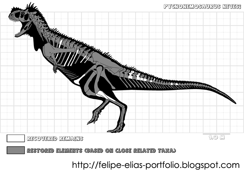 FELIPE ALVES ELIAS - Portfolio: Pycnonemosaurus nevesi (2011)