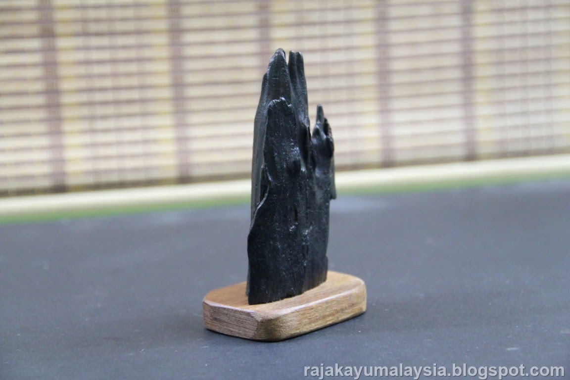Raja Kayu Malaysia: Top Quality Malaysia Rare Kayu Kemuning Hitam ...