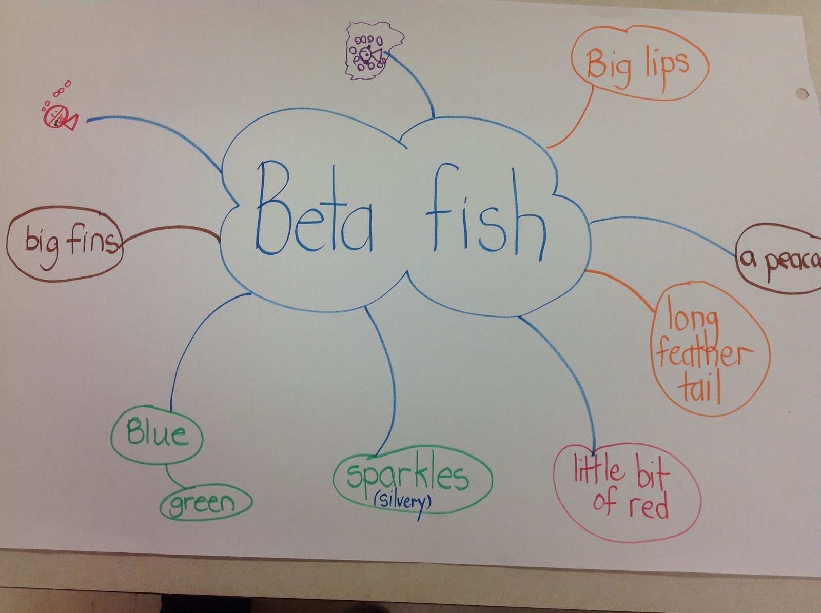 Beginning with Inquiry in Kindergarten: Beta Fish inquiry