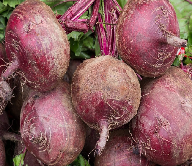 Os Benefícios da Beterraba pra Homens e Mulheres