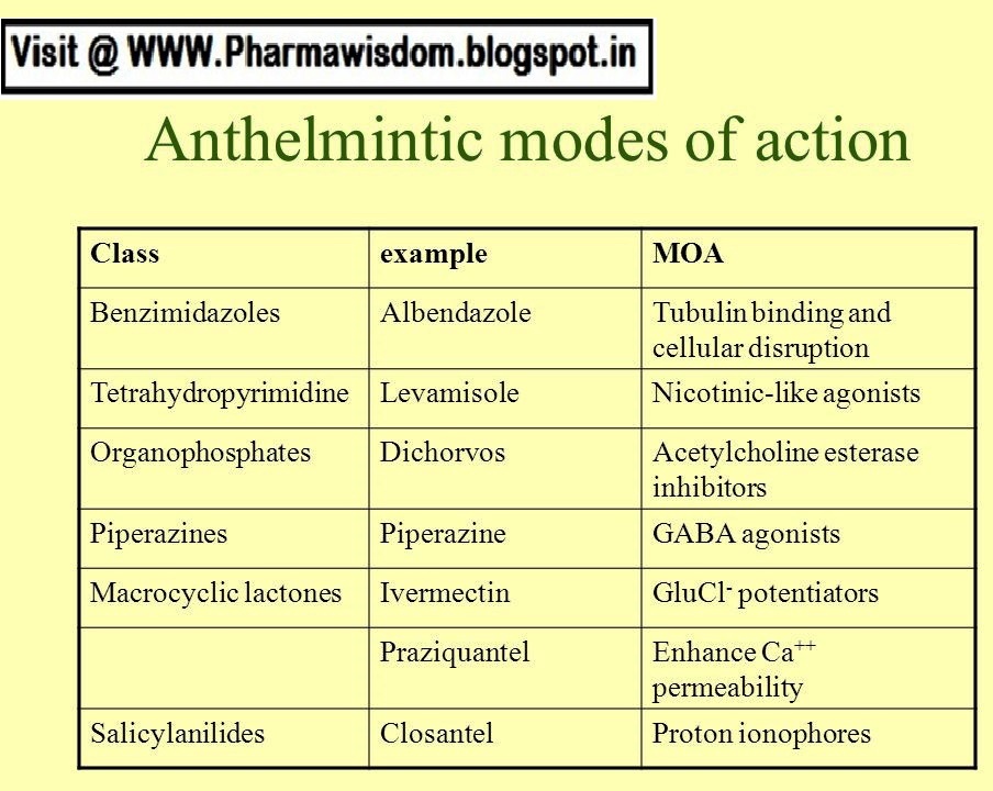 Mechanism of Action of Chemotherapeutic drugs - PHARMA WISDOM