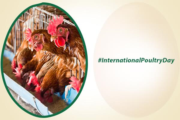 Come let?s celebrate this year?s International Poultry Day!