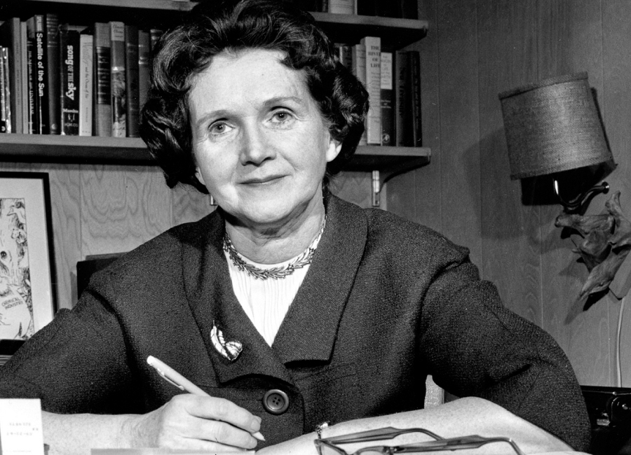 ** Maria Reciclona **: "A Primavera Silenciosa" de Rachel Carson ...
