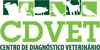 Criação de Logotipos e Criação de Logomarcas é no iMarca!: Veterinária ...