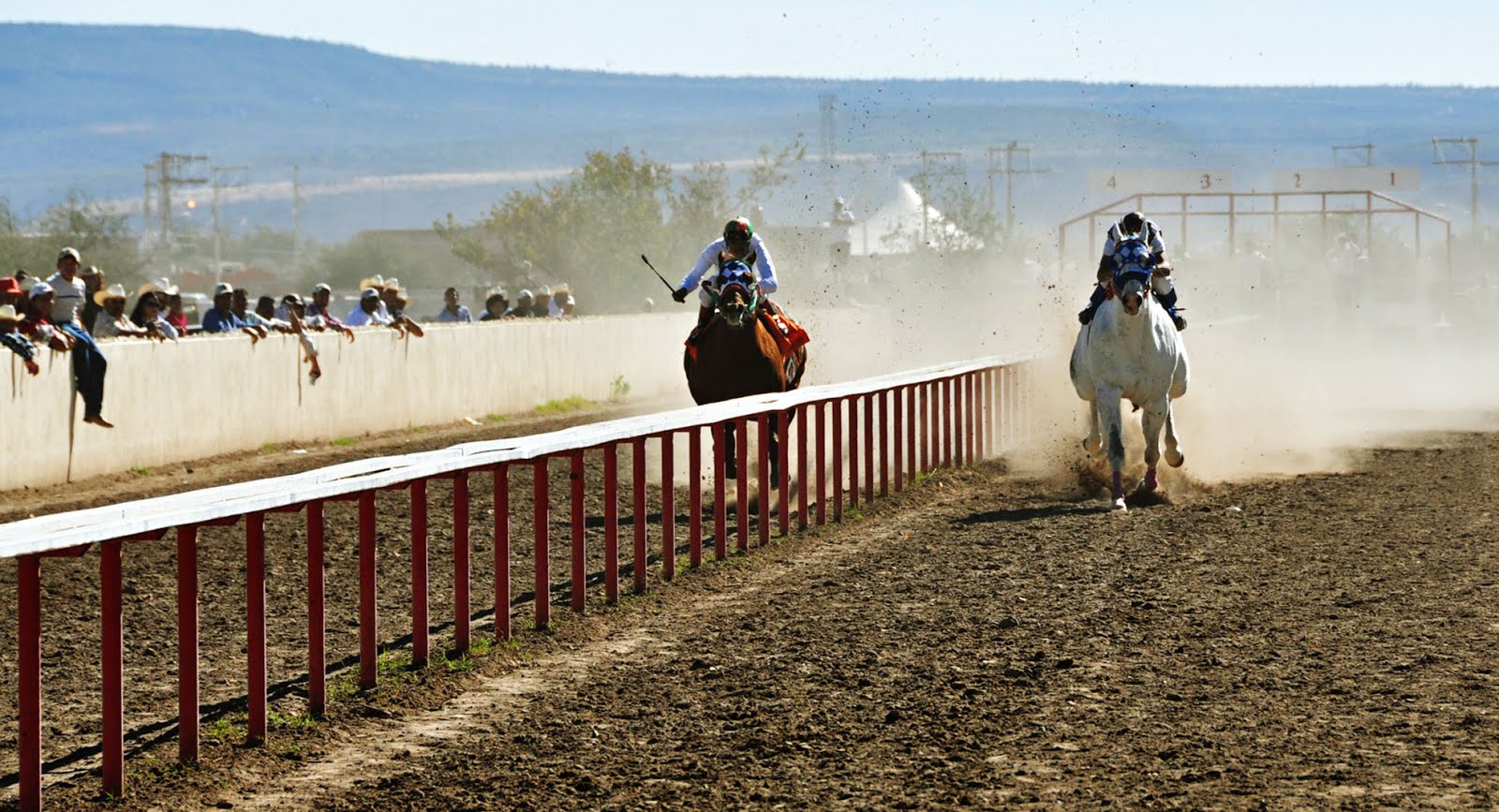 Magazine Life Durango: EXITOSAS CARRERAS DE CABALLOS EN CARRIL 2000