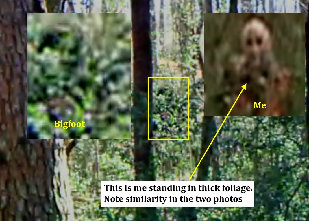 The Bigfoot Field Journal: Bigfoot Research - My First Back Trail ...