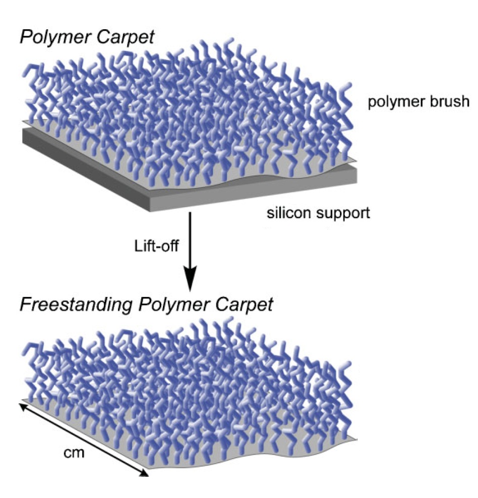 Synapse Science Magazine: January 2013