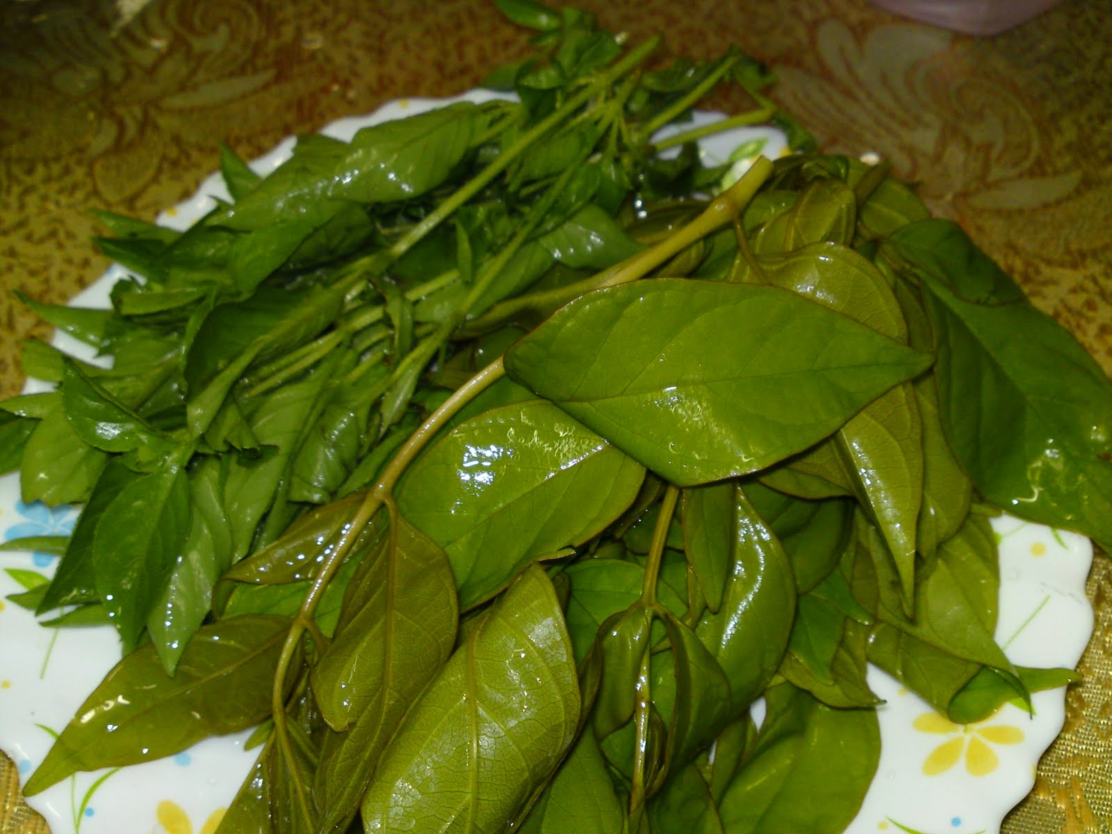 DARI DAPUR ORANG KAMPUNG: PUCUK BEKO, DAUN KEMANGI