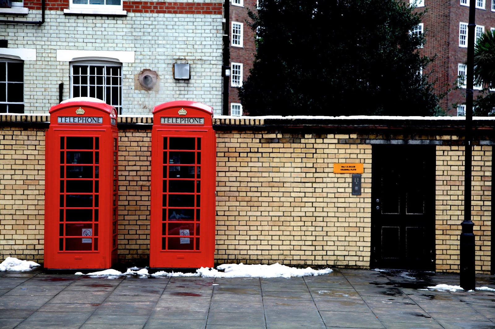 ArtHouse: The Flaneur Series