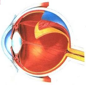 BOLA MATA ~ Hardi Kasanwikarto