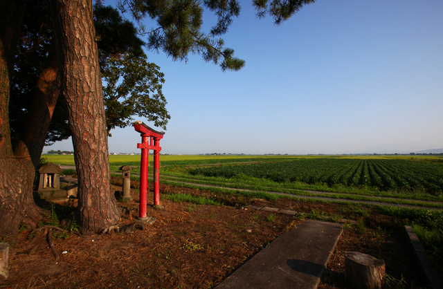 Small shrines in Japan / Hokora / Shinto concept