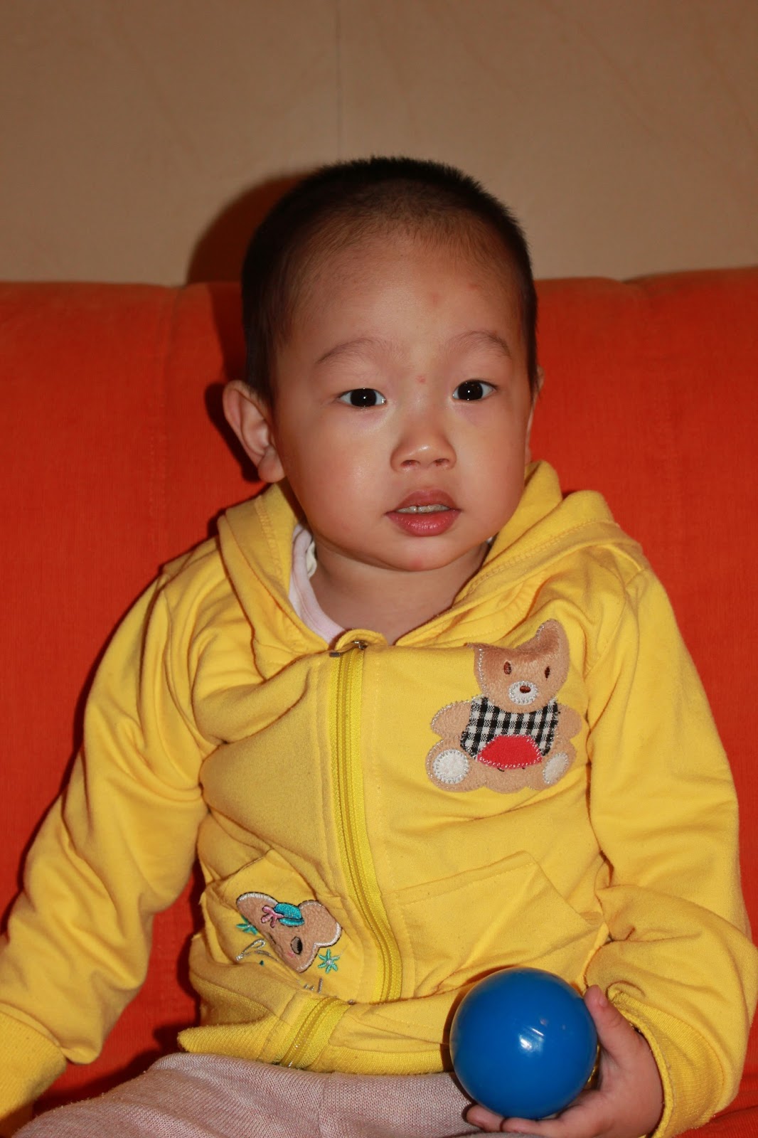 China 2013: Adoption Journey Overview