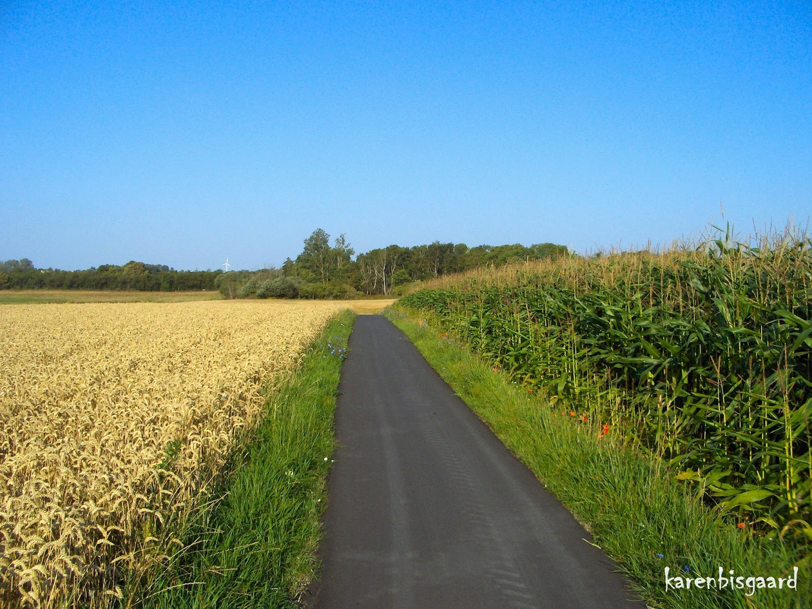 Karen`s Nature Photography: Bicycle-Footpath Through Countryside.