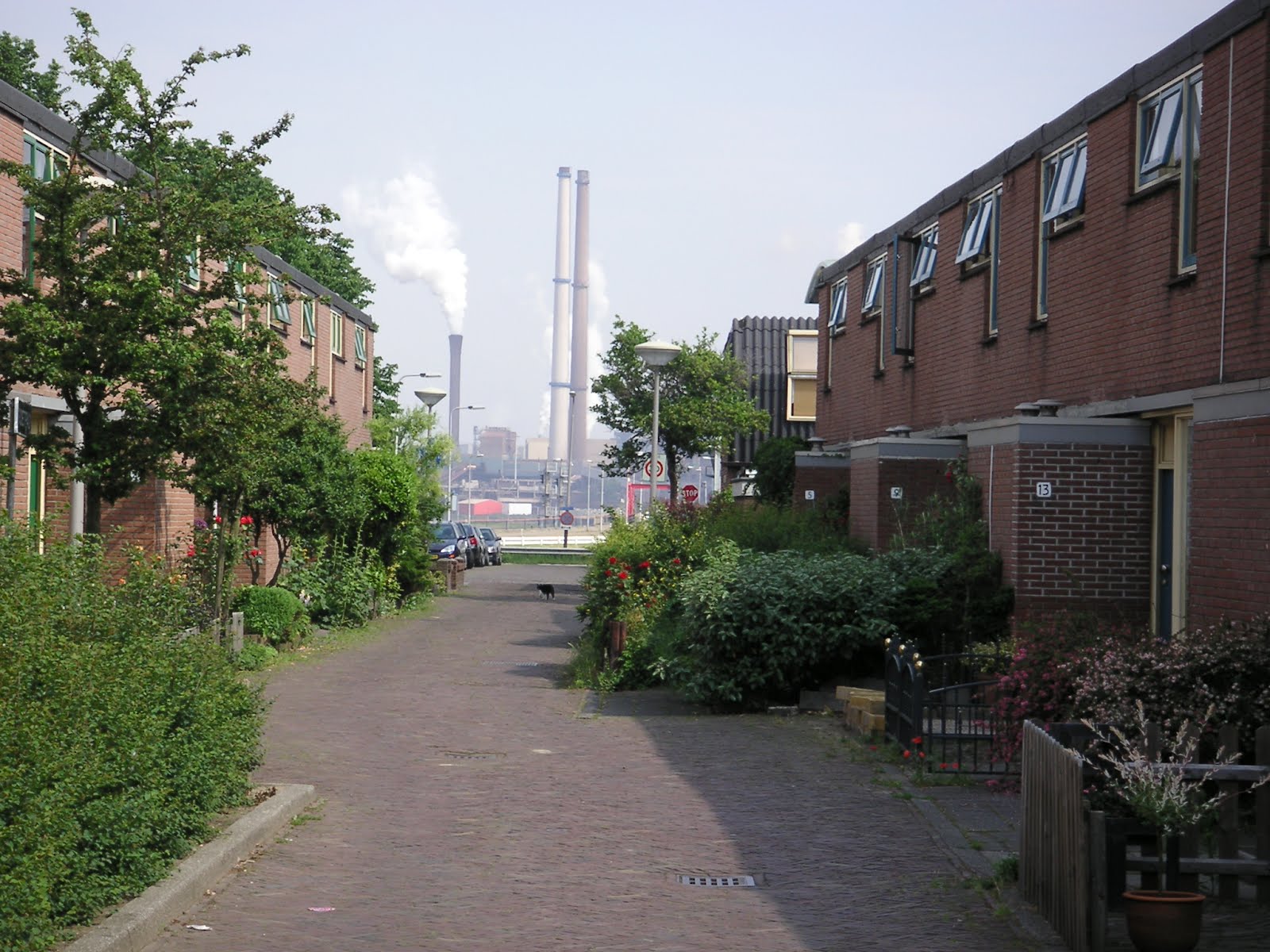 Fokke's Blog: Dove gevel kan toch in Oud-IJmuiden