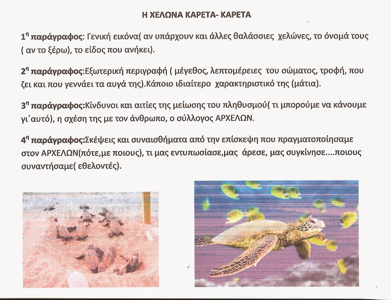 ΧΑΡΟΥΜΕΝΑ ΠΑΙΔΙΑ: Η ΧΕΛΩΝΑ ΚΑΡΕΤΑ - ΚΑΡΕΤΑ ( ΠΑΡΑΓΩΓΗ ΓΡΑΠΤΟΥ ΛΟΓΟΥ Γ΄ΤΑΞΗ)