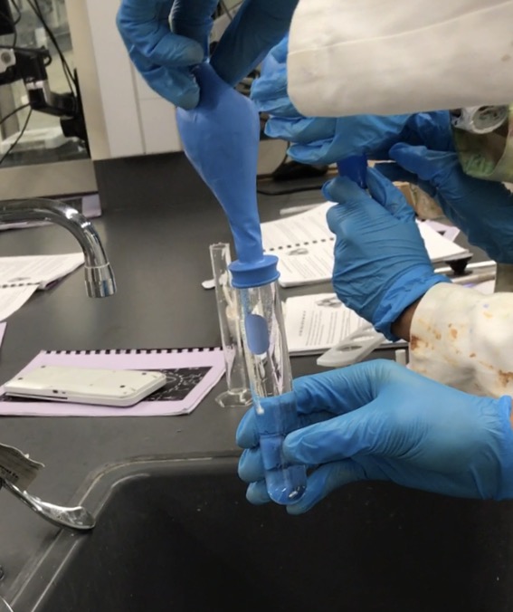 Lab 18: Alka Seltzer and the Ideal Gas Law Lab