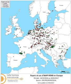 Avian Flu Diary: ESA: Epidemiological Update On H5N8/H5N5 In Europe ...