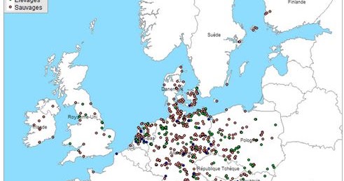 Avian Flu Diary: ESA: Epidemiological Update On H5N8/H5N5 In Europe ...