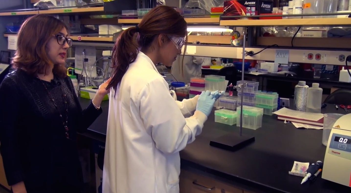 VIDEO: Safety procedures for handling sharps