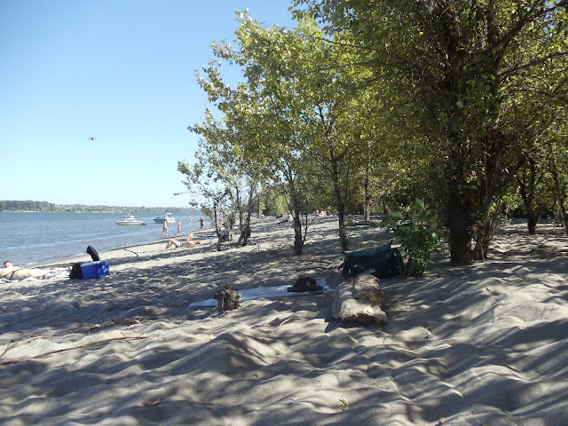 Rose City Nouns: Sauvie Island: Colins Beach