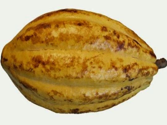 Idée Chocolat: La cabosse