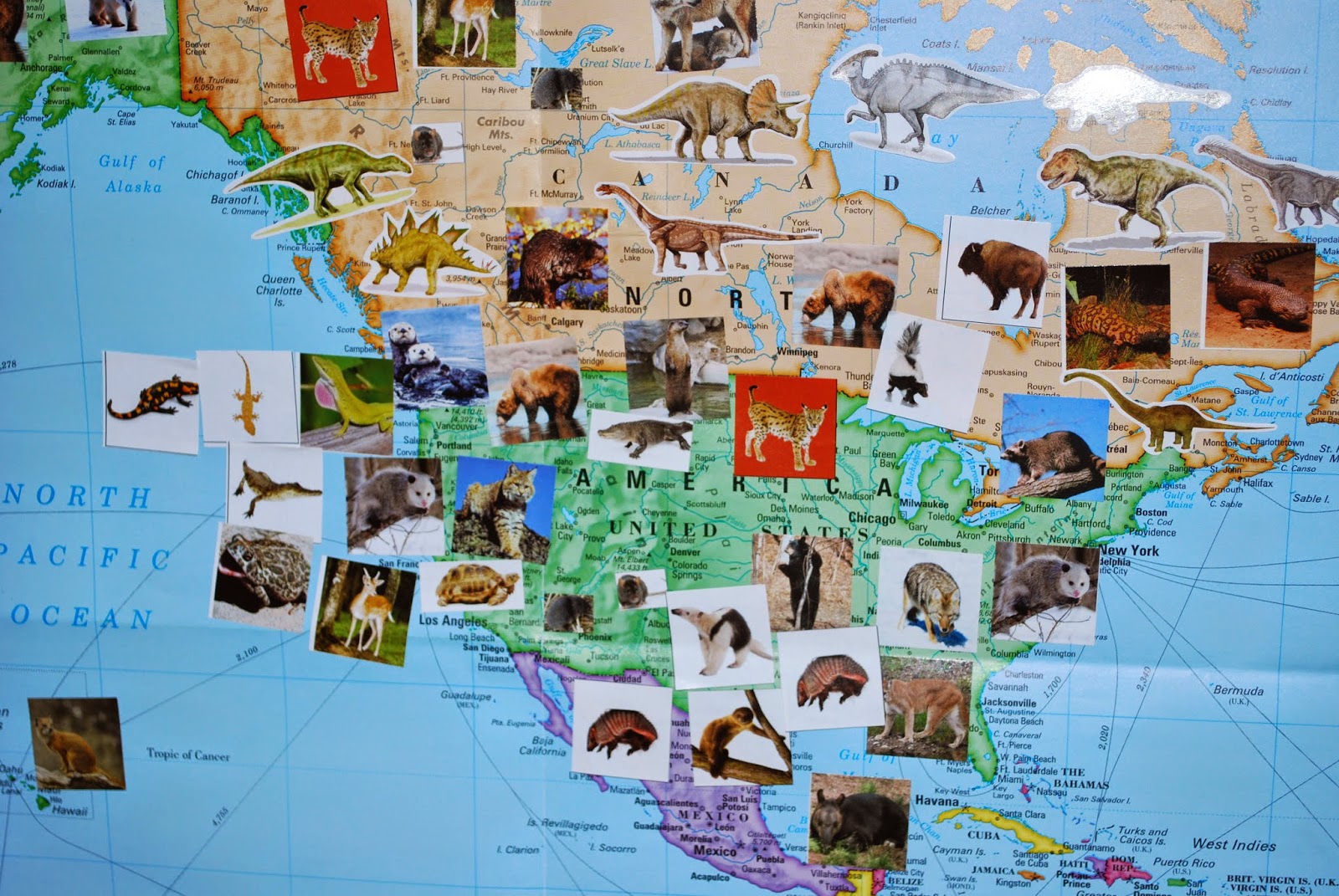 Homeschool Happenings: Do you know your states and capitals?