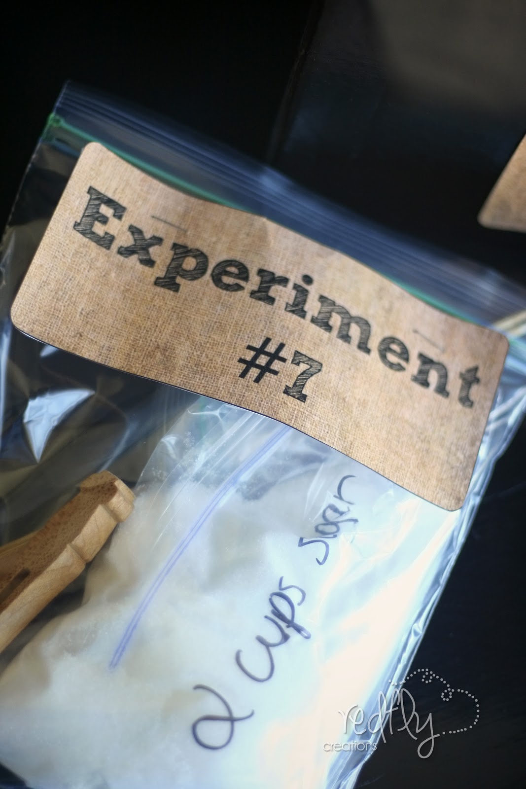 Redfly Creations: Science Experiment Box