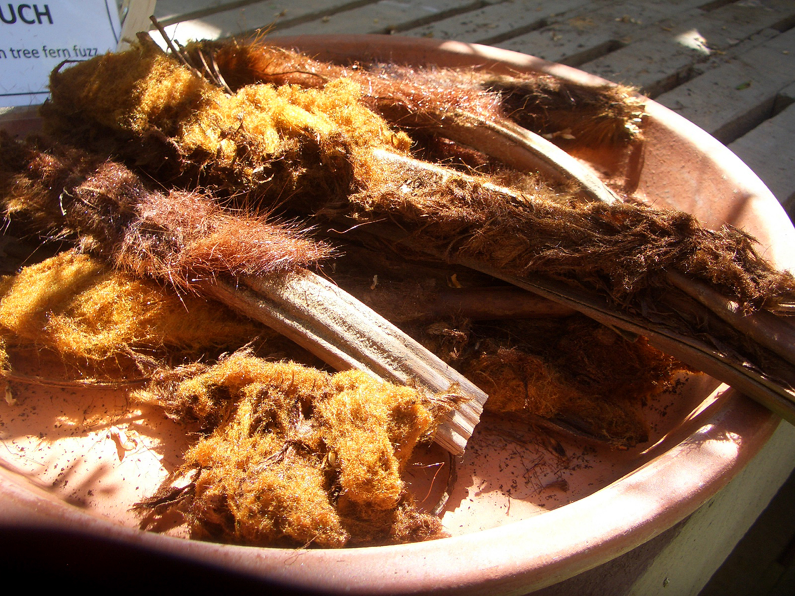 THOUGHTS ON ARCHITECTURE AND URBANISM: The Legend of the Vegetable Lamb ...