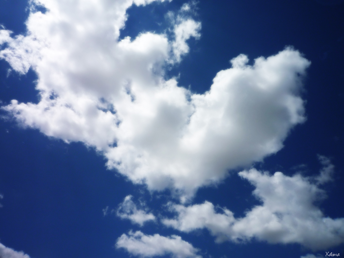 Xálima blog: LAS FORMAS DE LAS NUBES...