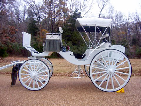 The Princess's Carriage