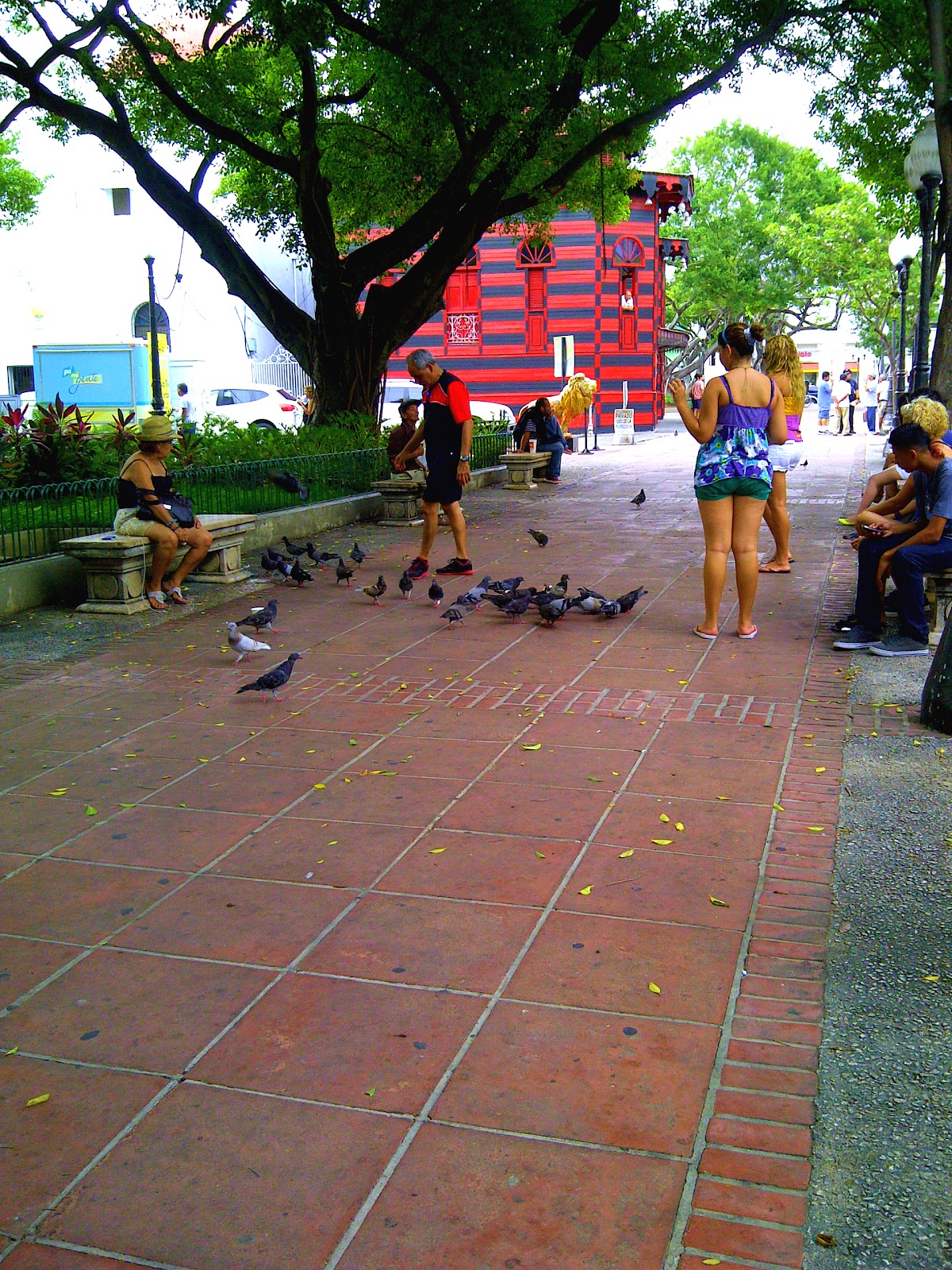 Bluebird Travels: Everything You Can Dream of is Real in Ponce