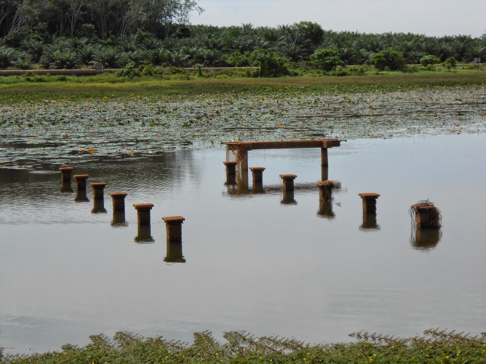 theperanakanconnection: A day trip to Masjid Lama Machap, Melaka