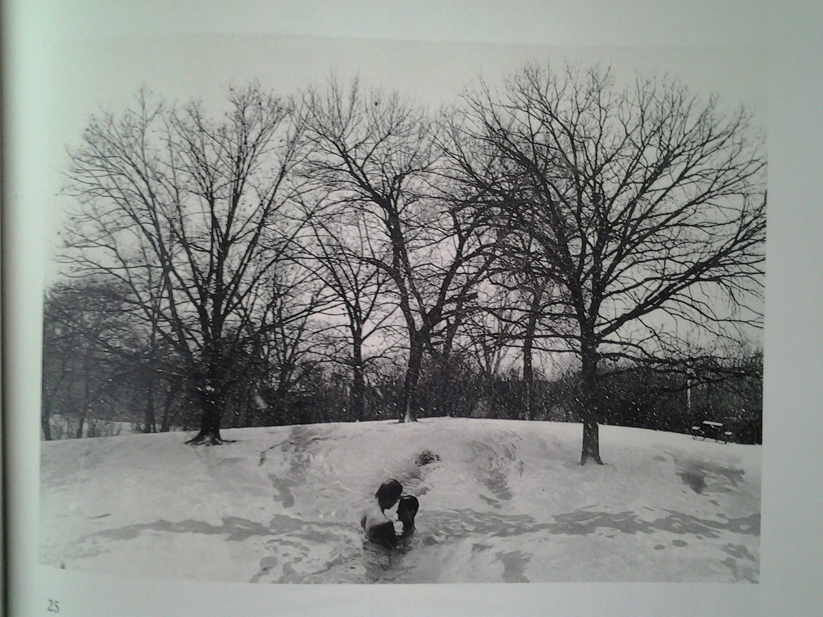 Photography Influences: Scott Mutter