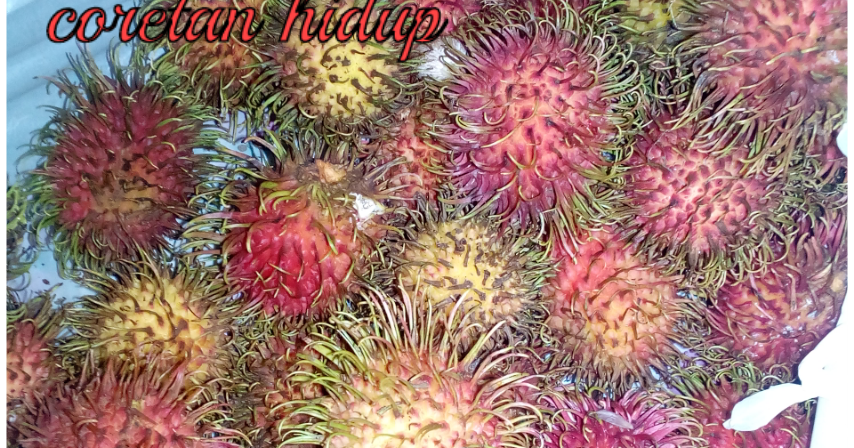 CORETAN HIDUP: Rambutan ,durian.