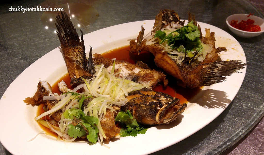 Chubby Botak Koala - Singapore Food Blog, Travel and Lifestyle: [CLOSED ...