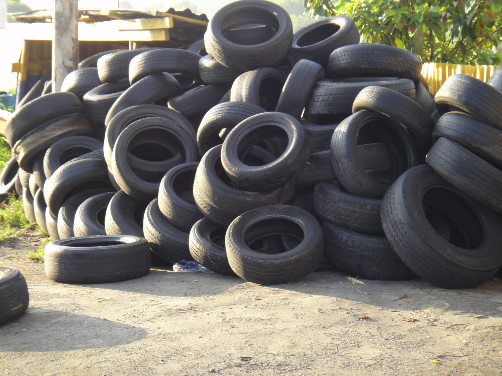 Crist & John Recycling: Fotos de Gomeras