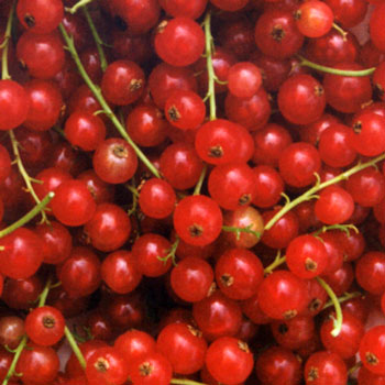 Escola São José Operário