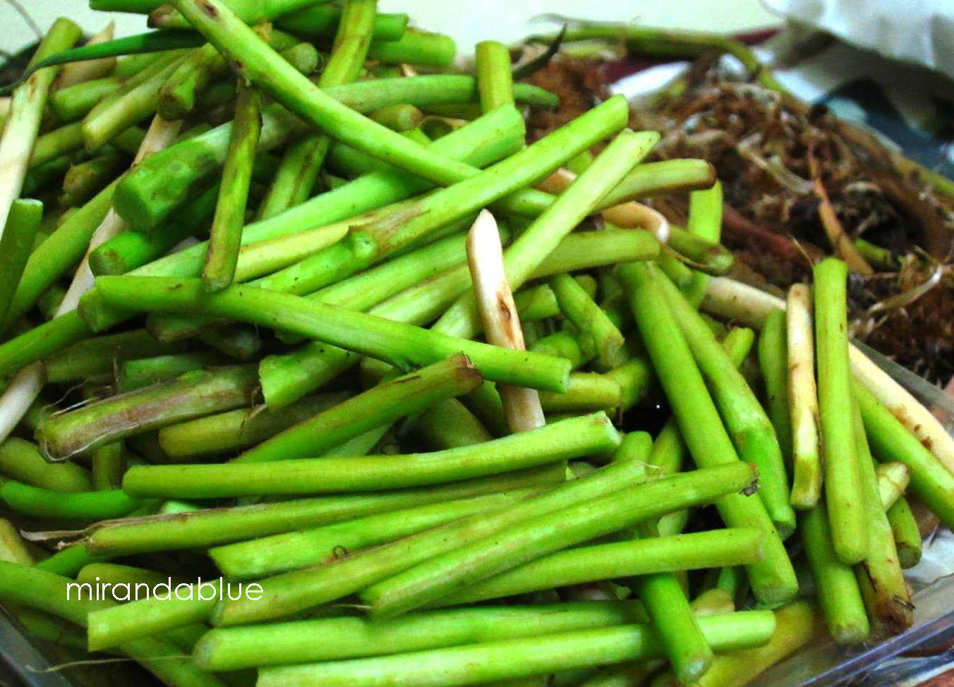 Miranda: Adobong Takway