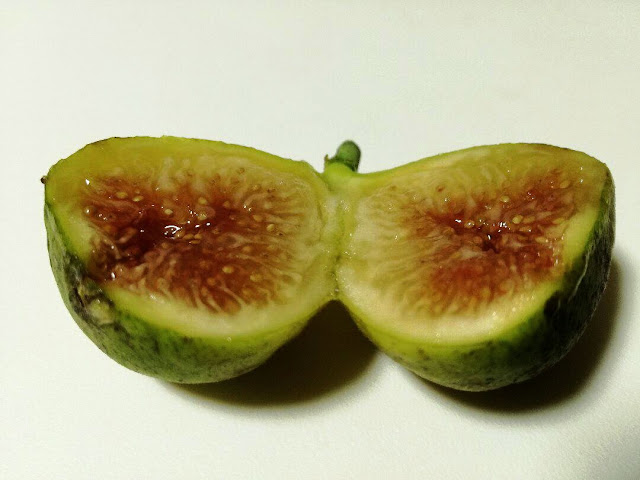 cele patru anotimpuri: Smochina