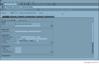 SAP: Customer Master Data